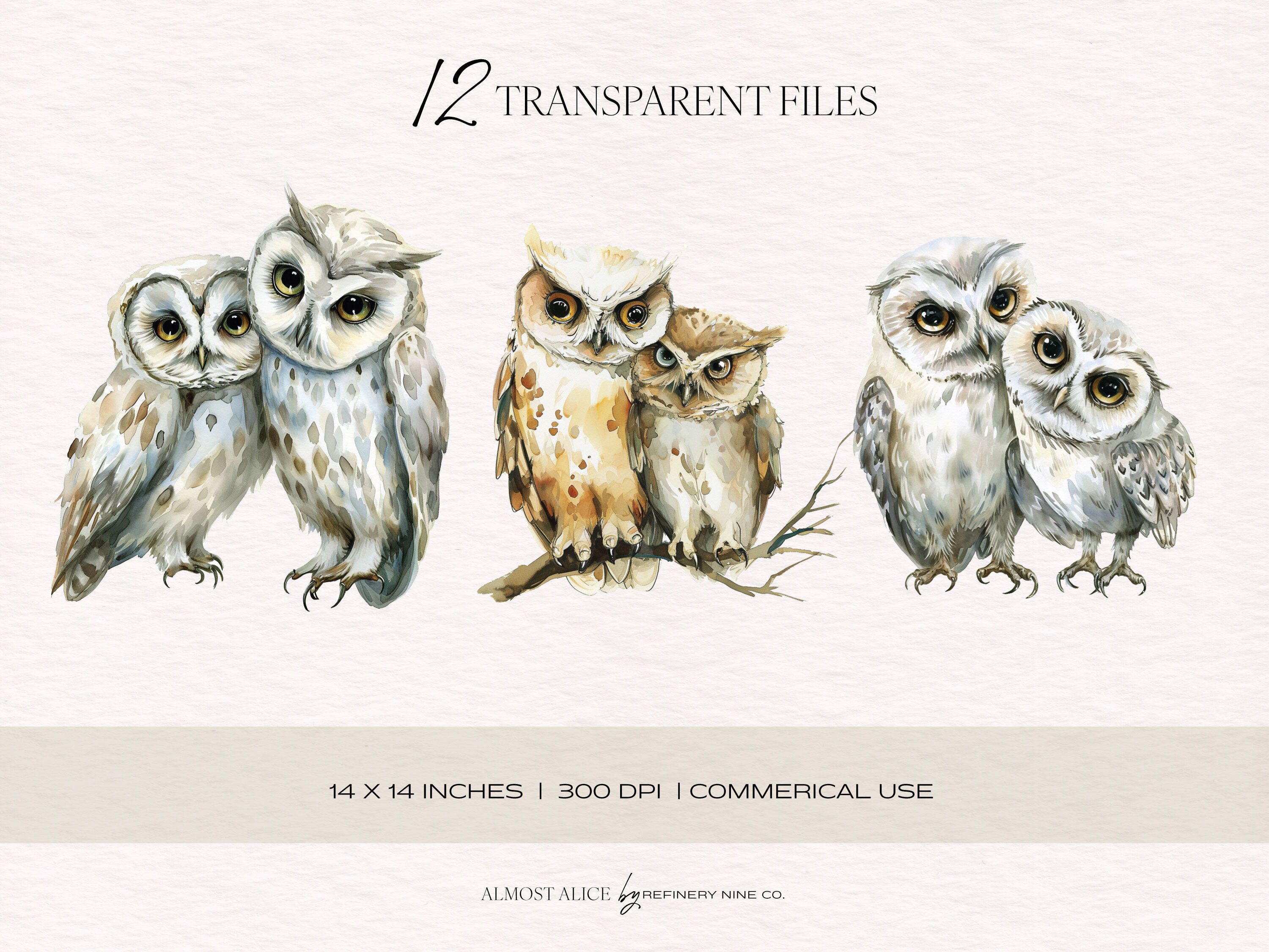 Snowy Owls Clipart - Clipart Bundle, Snow Owl, Nature Clipart, Bird ...