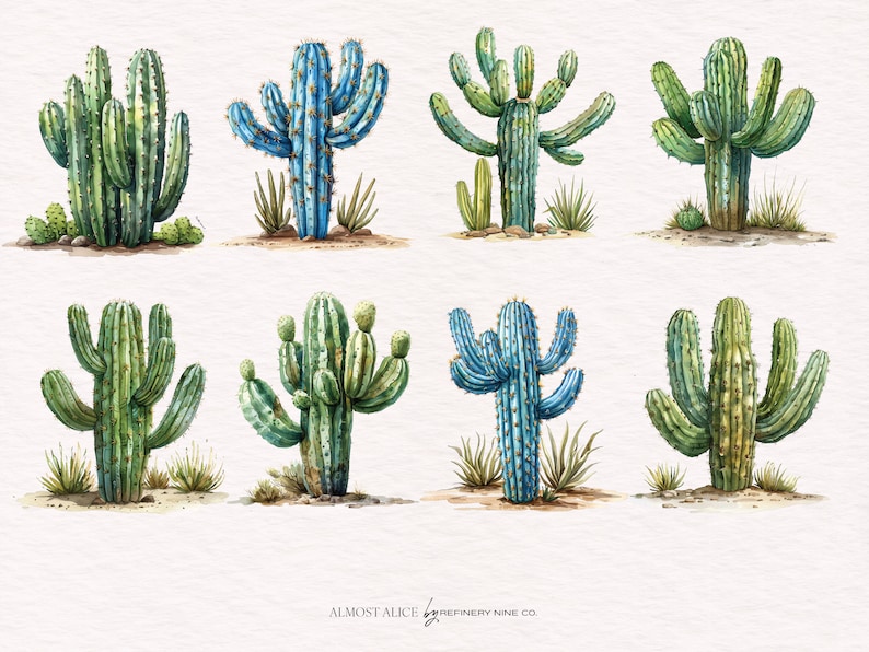 Watercolor Desert Cactus Clipart: Transparent PNG Graphics (commercial ...