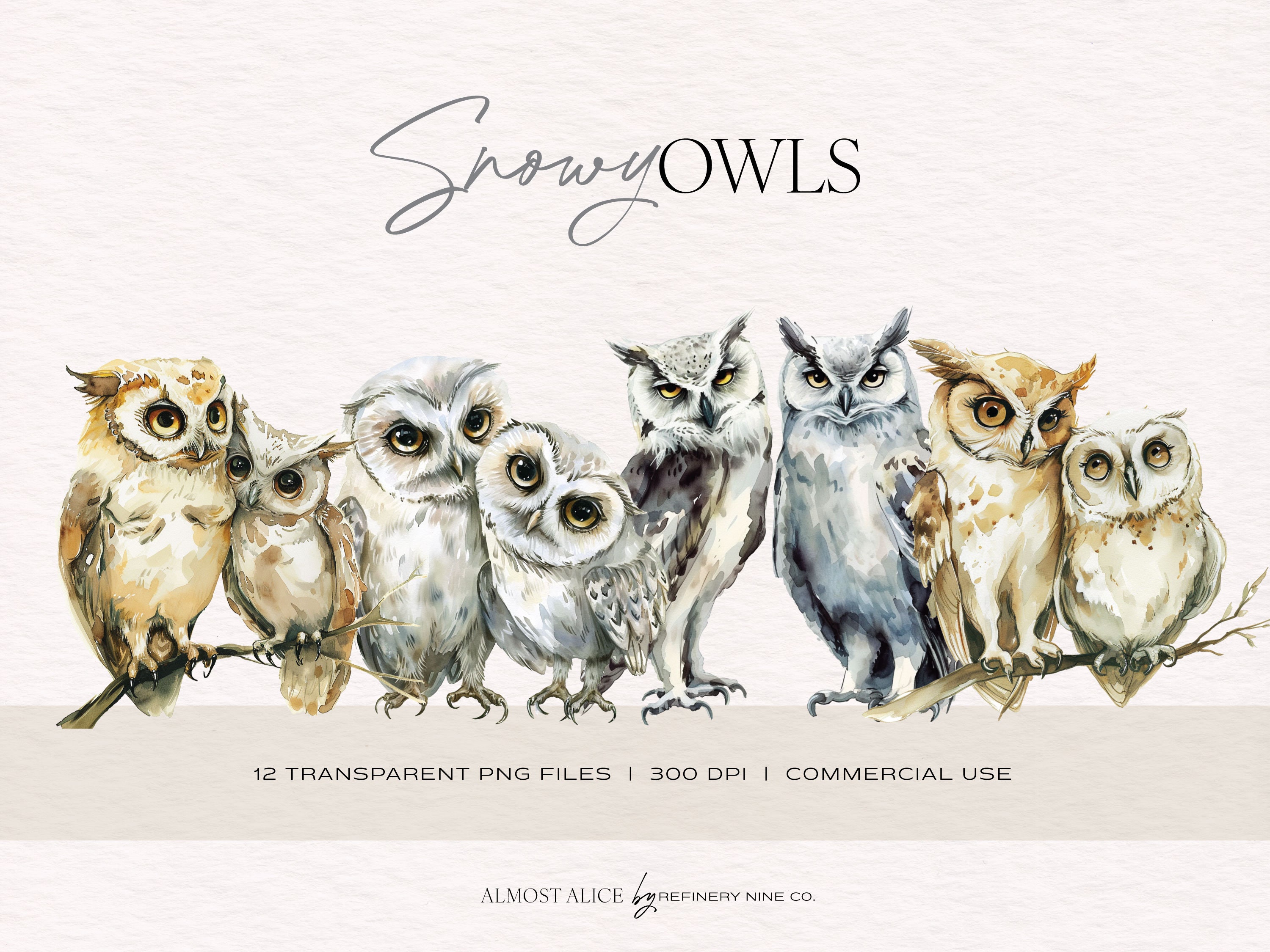 Snowy Owls Clipart - Clipart Bundle, Snow Owl, Nature Clipart, Bird ...