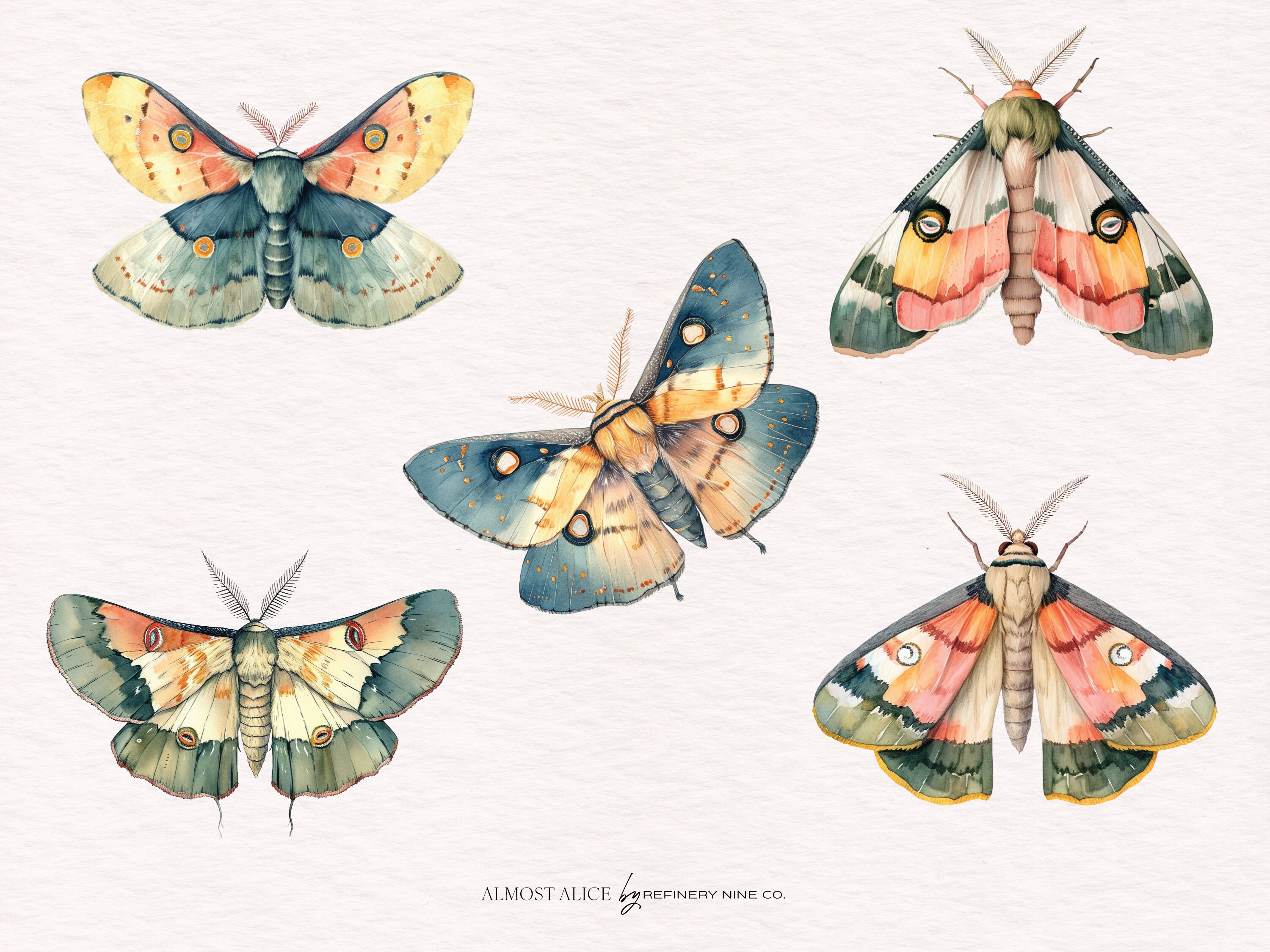 Boho Moths, Instant Download, Watercolor Clipart, Transparent PNG ...