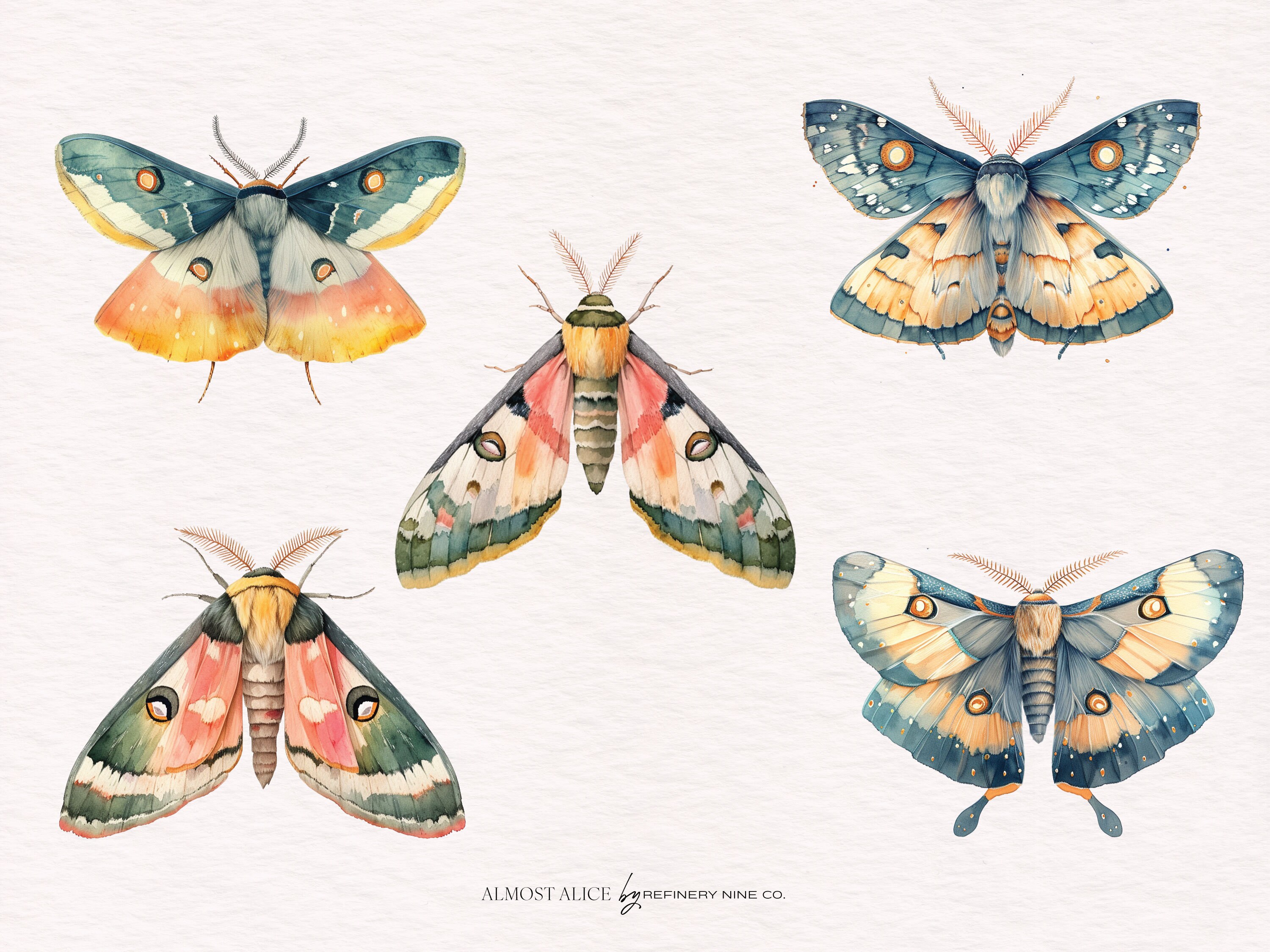 Boho Moths, Instant Download, Watercolor Clipart, Transparent PNG ...