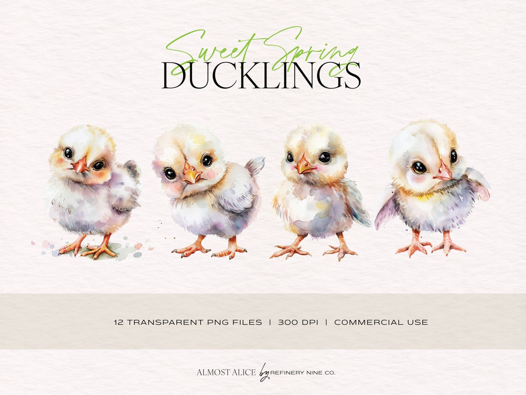 Sweet Spring Ducklings, Watercolor Clipart, Cute Farm Animals, Nursery ...