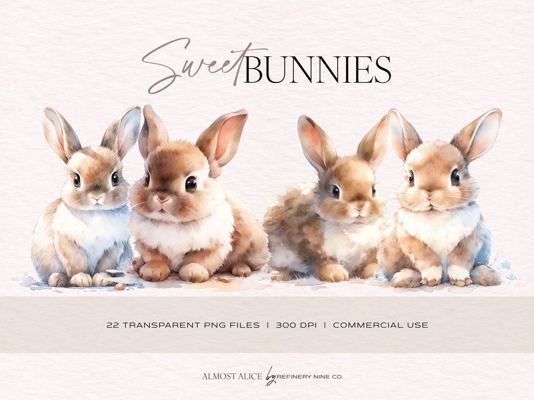 Cute Bunnies, Clipart Pack, Clipart for Commercial Use, Transparent ...