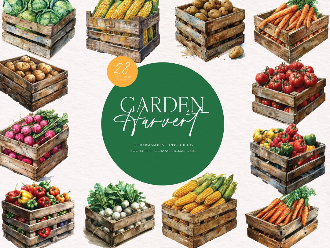 Watercolor Garden Harvest Clipart: Fruit & Veggie PNG (digital Download ...