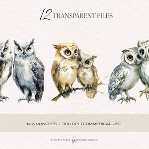 Snowy Owls Clipart - Clipart Bundle, Snow Owl, Nature Clipart, Bird ...