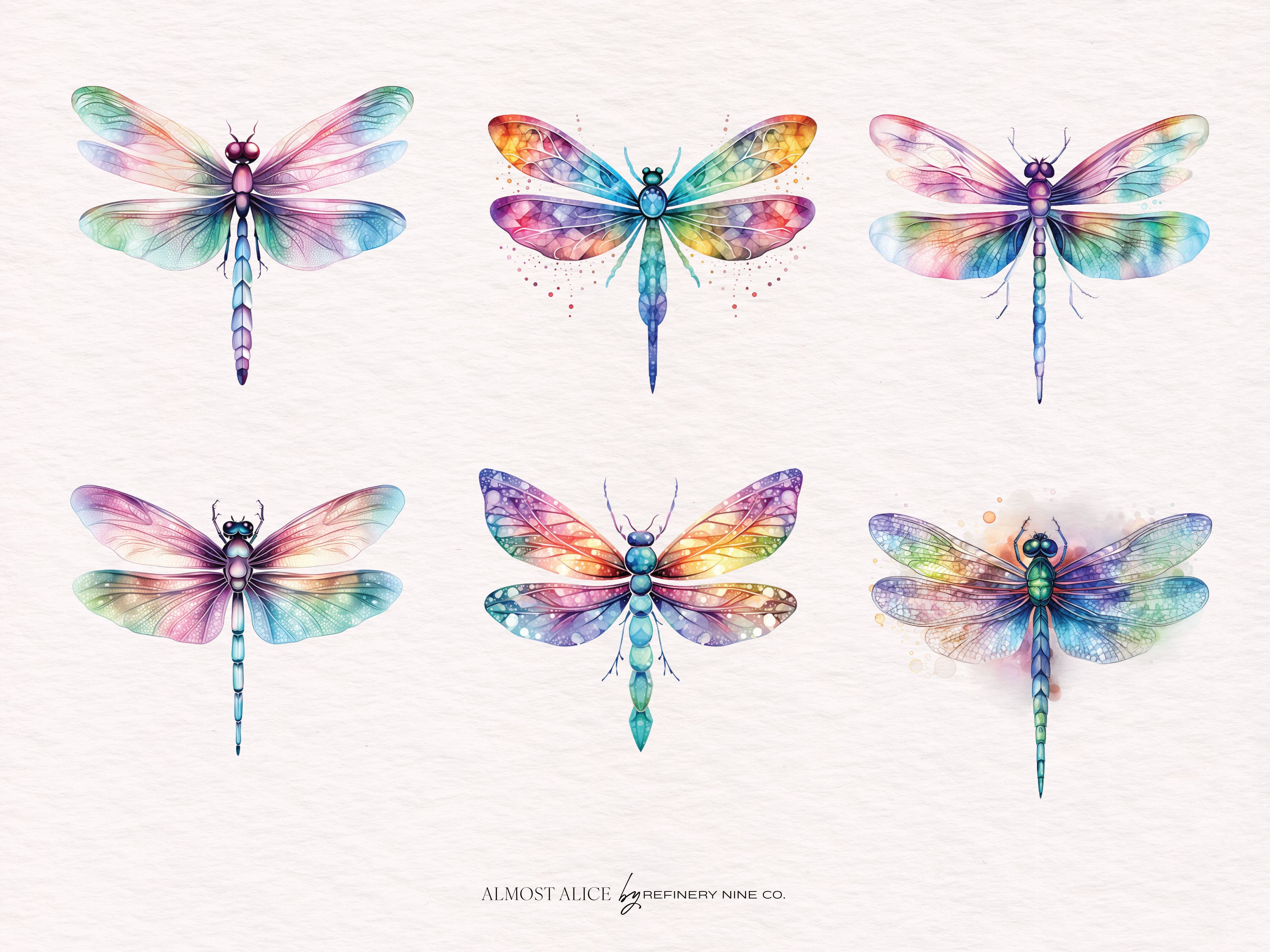 Rainbow Dragonfly Clipart: 18 Transparent Pngs (commercial Use) - Etsy