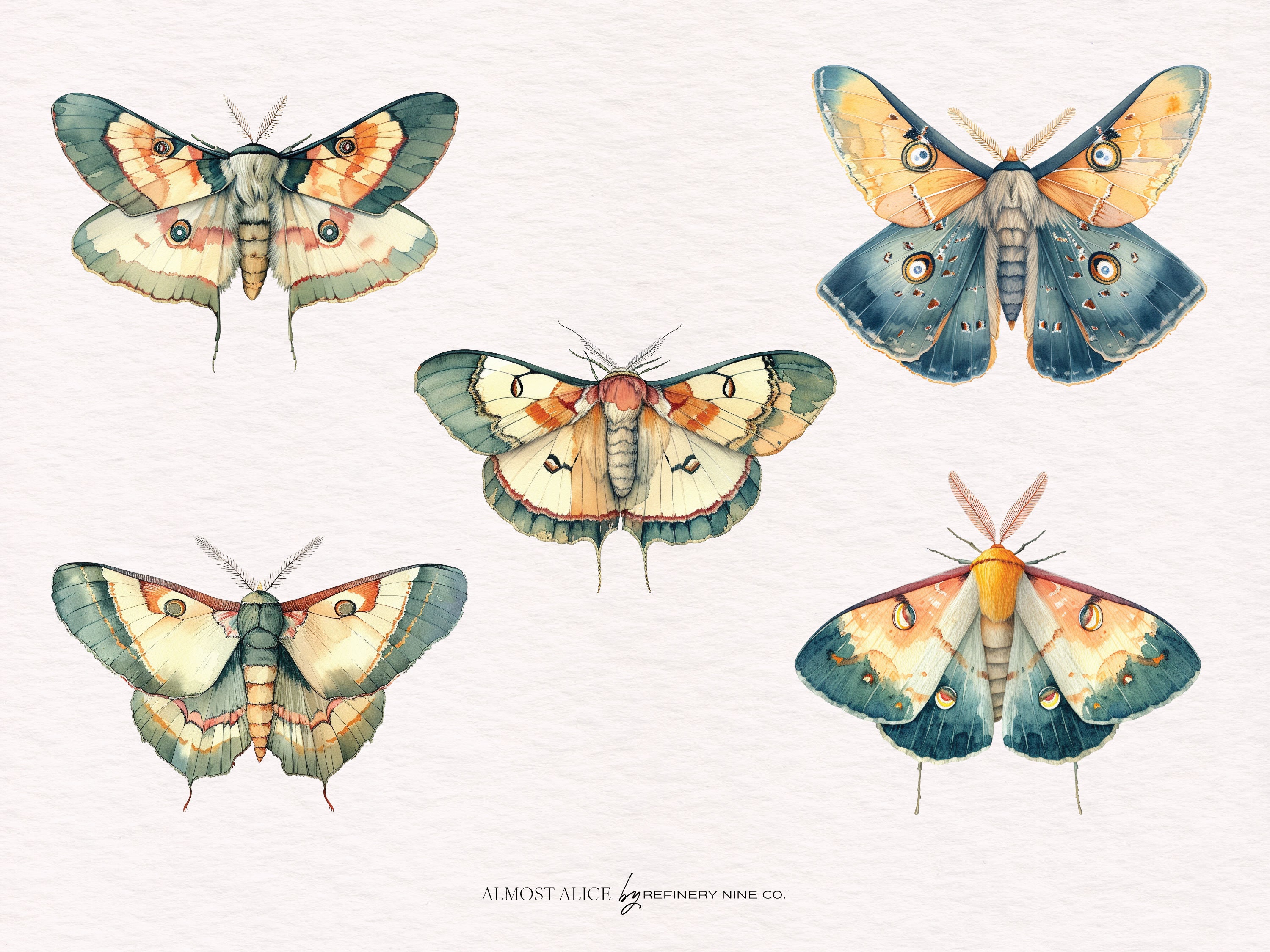 Boho Moths, Instant Download, Watercolor Clipart, Transparent PNG ...