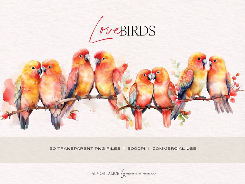 Love Birds Clipart Bundle, Bird Couple, Printable Watercolor Clipart ...