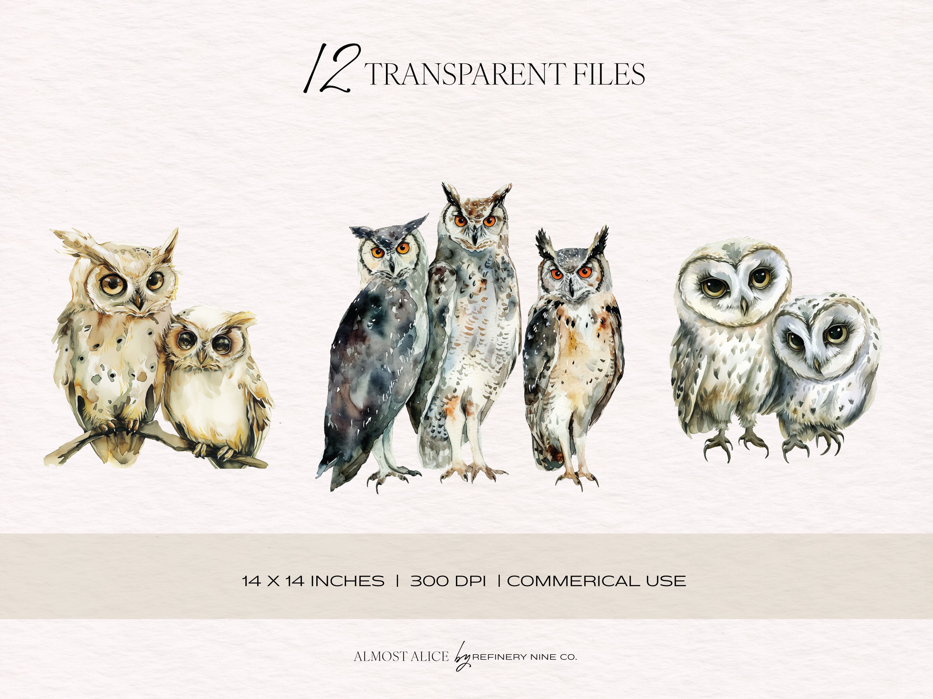 Snowy Owls Clipart - Clipart Bundle, Snow Owl, Nature Clipart, Bird ...