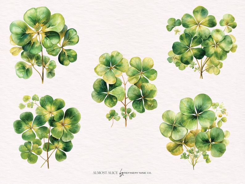 Four Leaf Clover Watercolor Clipart, Commercial Use, Floral Shamrock ...