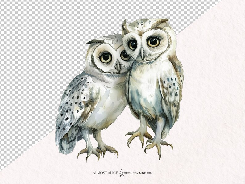Snowy Owls Clipart - Clipart Bundle, Snow Owl, Nature Clipart, Bird ...