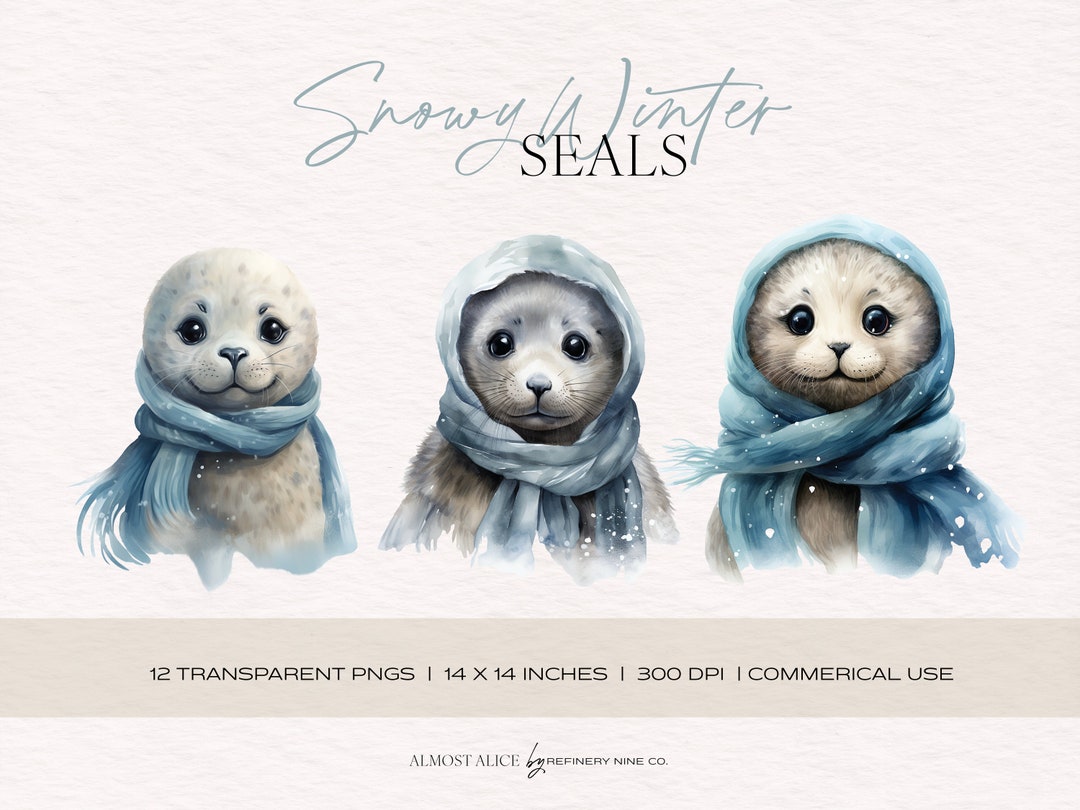 Winter Seals Watercolor Clipart: Snowy Baby Animals (transparent PNG ...