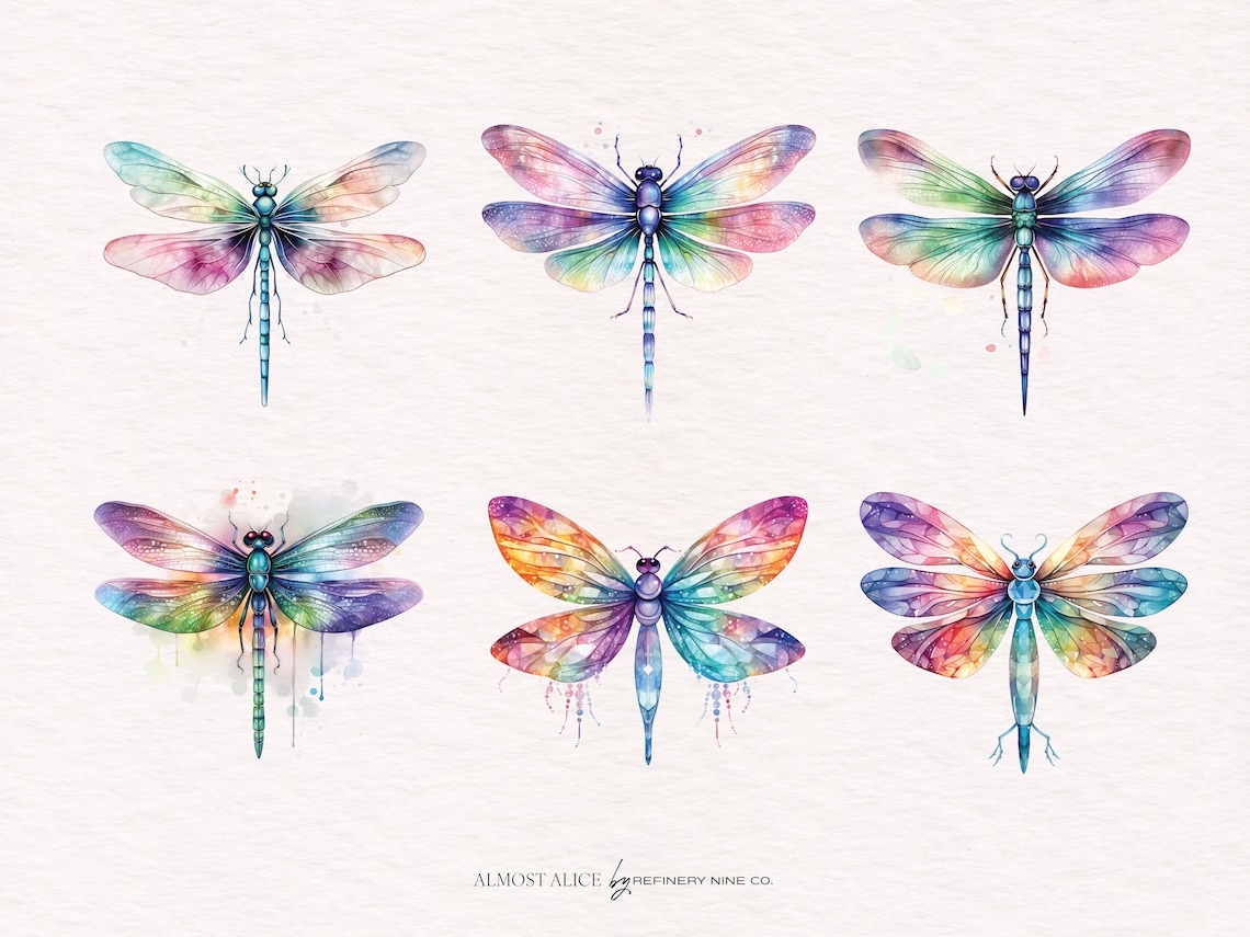 Rainbow Dragonfly Clipart: 18 Transparent Pngs (commercial Use) - Etsy