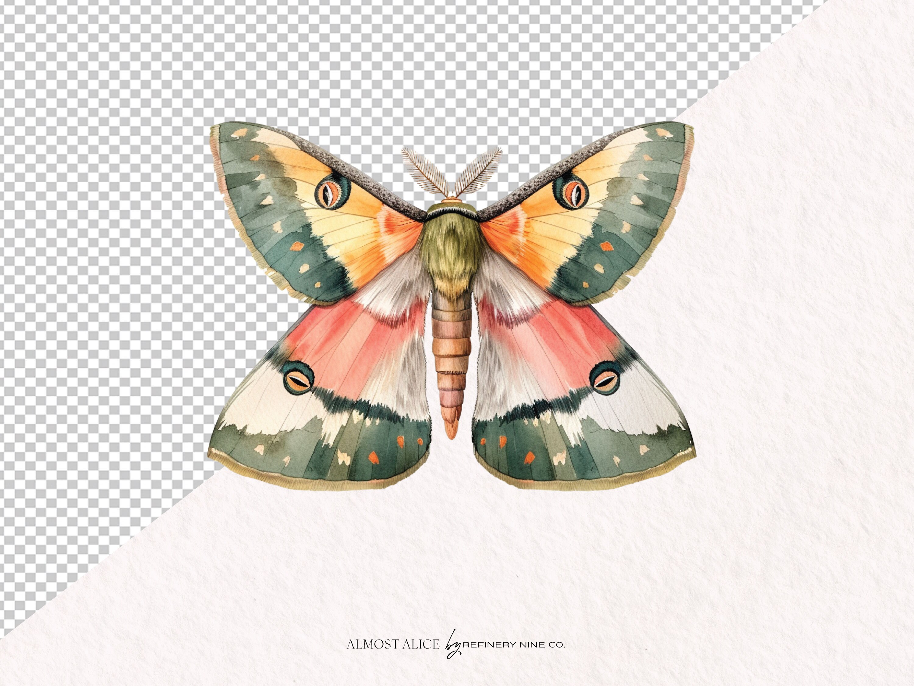Boho Moths, Instant Download, Watercolor Clipart, Transparent PNG ...