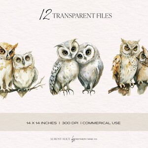 Snowy Owls Clipart - Clipart Bundle, Snow Owl, Nature Clipart, Bird ...