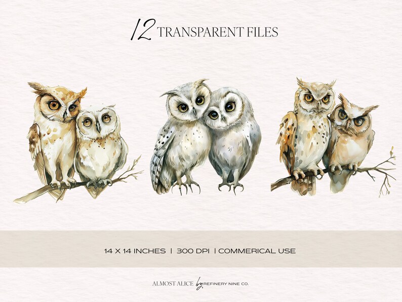 Snowy Owls Clipart - Clipart Bundle, Snow Owl, Nature Clipart, Bird ...