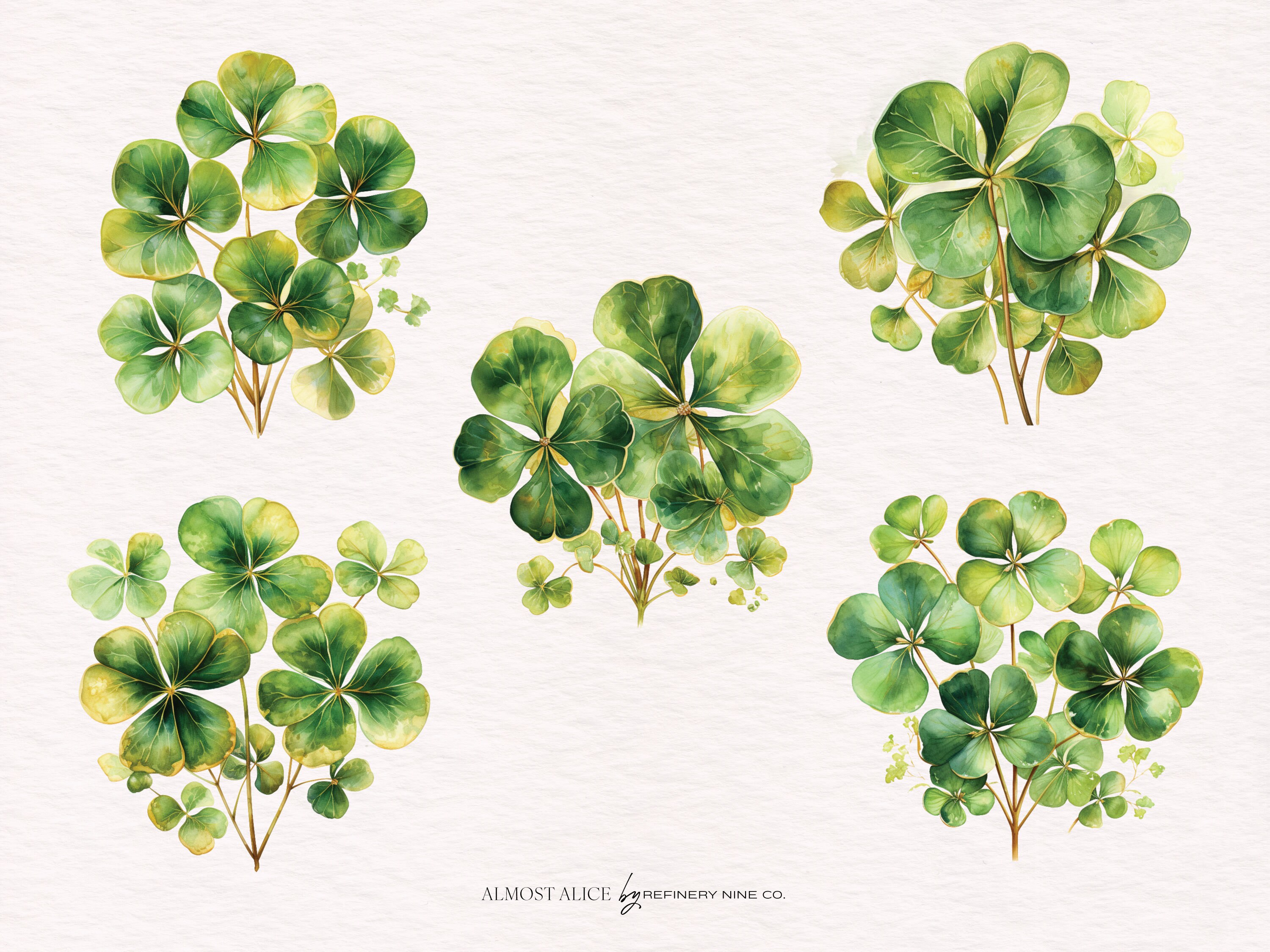 Four Leaf Clover Watercolor Clipart, Commercial Use, Floral Shamrock ...