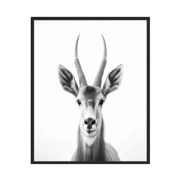 Antelope Poster - Etsy