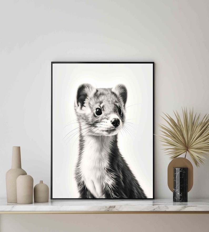 Stoat Poster Art Print Stoat Black and White Wall Art Gallery - Etsy