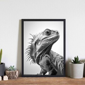 Iguana Poster Art Print, Iguana Black and White Wall Art Gallery ...