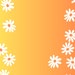 Everything's Coming up Daisy (5) - Etsy