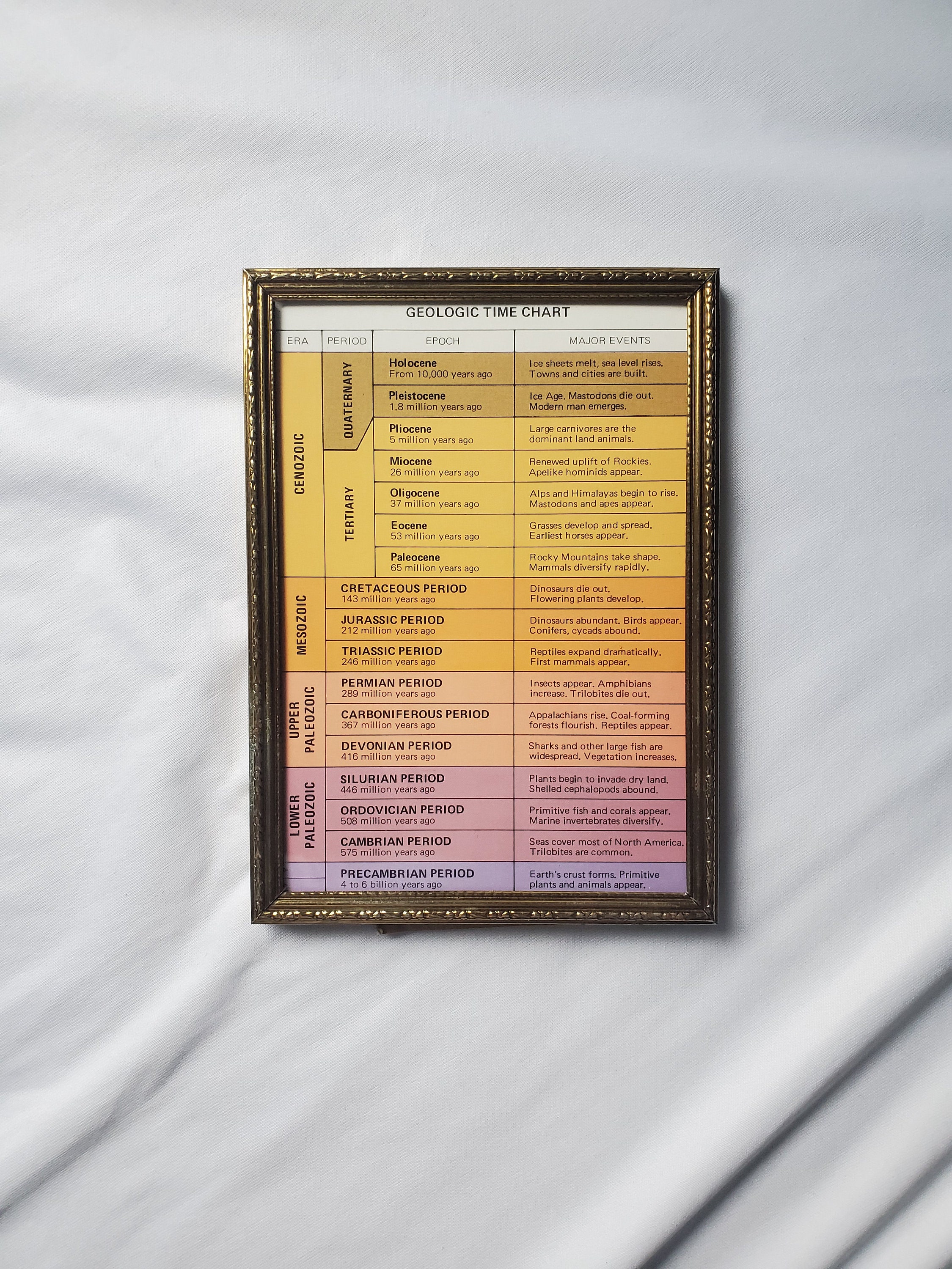 Geologic Time Chart Science Art - Etsy