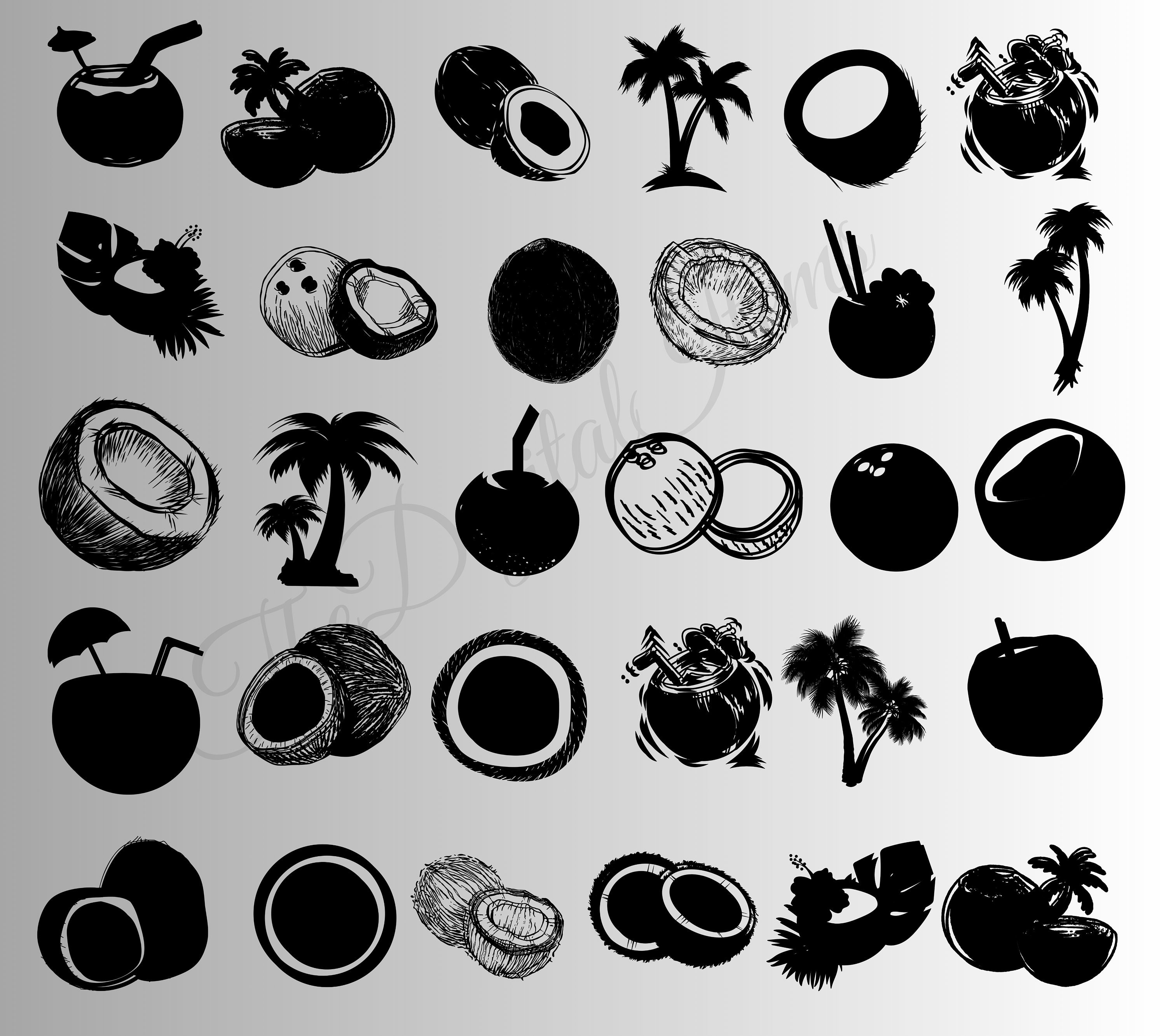 Coconut Svg,cracked Coconut Svg, Coconut Cricut, Coconut Cocktail Svg ...