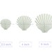 Scalloped Sea Shell | Machine Embroidery | Embroidery Design | 4x4 ...