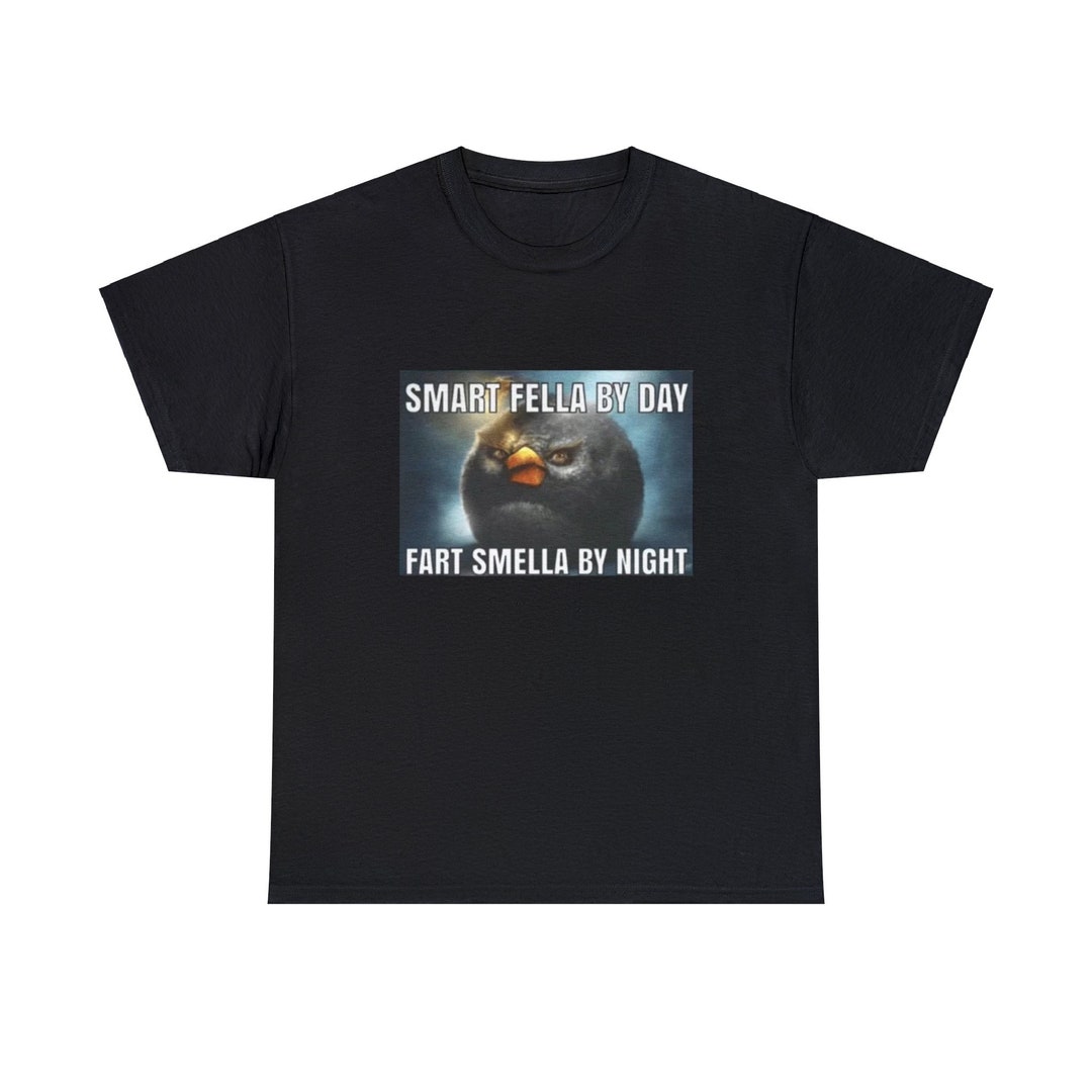 Smart Fella By Day Fart Smella By Night Camisas divertidas, camisetas ...