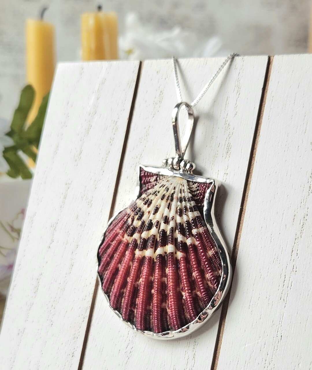 Sea Shell Pendant Necklace Pecten Pallium Unique Vintage One of Kind ...
