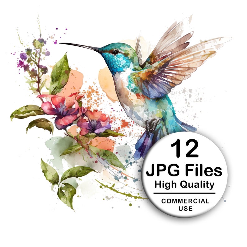 Hummingbird Clipart - Set of 12 High Quality JPG - Decoupage, Wall Art ...