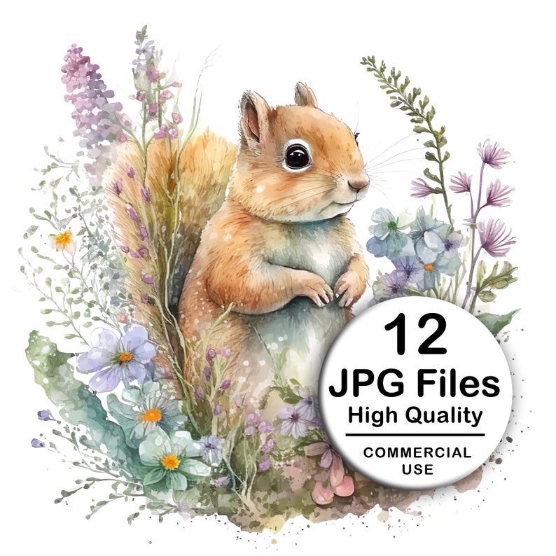 Cute Squirrel, Flowers Clipart - Set 12 High Quality JPG - Decoupage ...