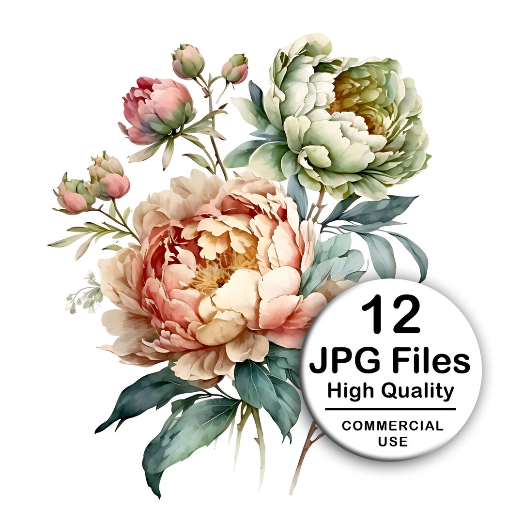 Peonies Clipart - Set of 12 High Quality JPG - Decoupage, Wall Art ...
