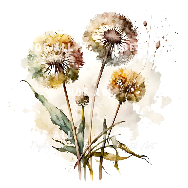 Dandelions Clipart - Set of 12 High Quality JPG - Decoupage, Wall Art ...