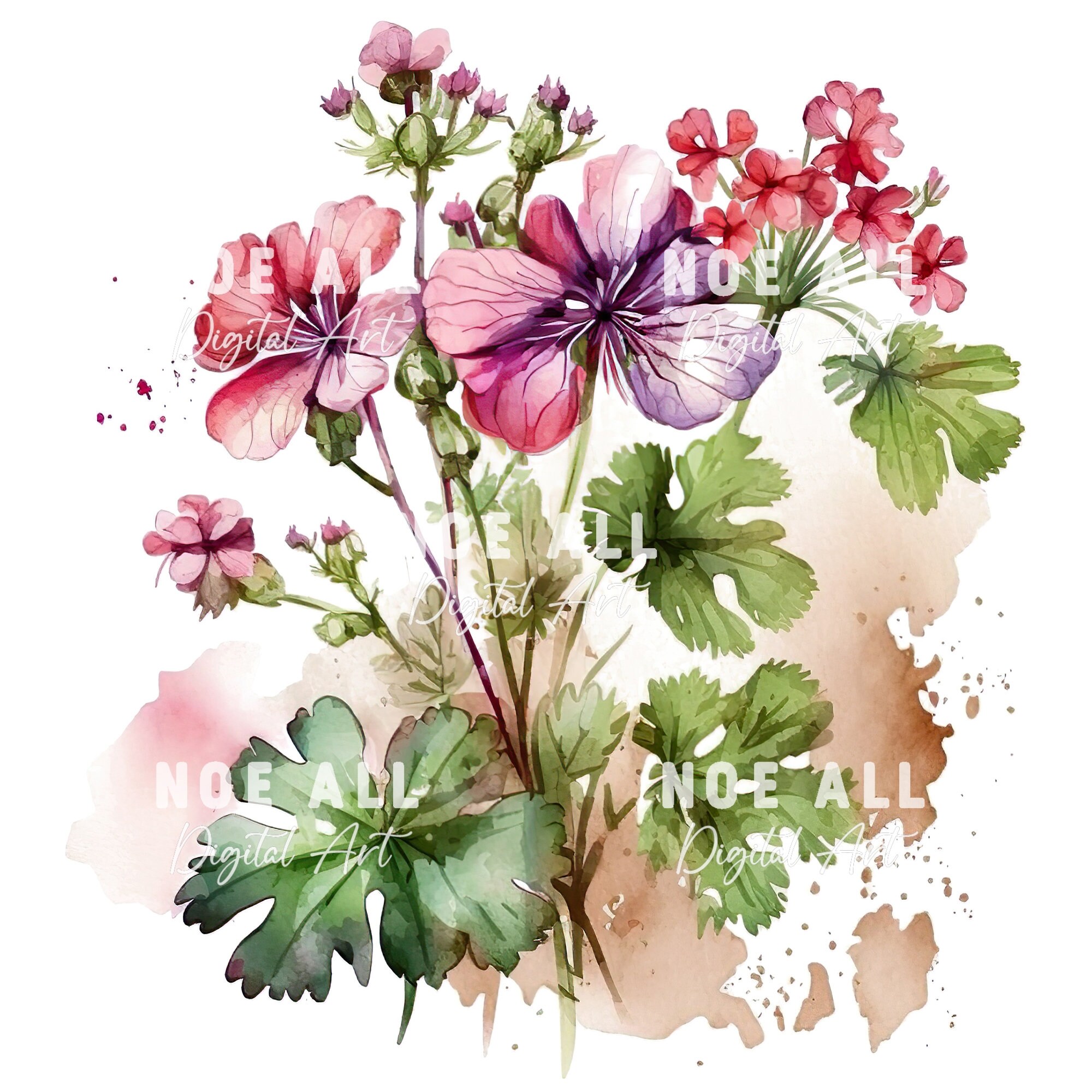 Geranium Clipart Set of 12 High Quality JPG Decoupage, Wall Art ...