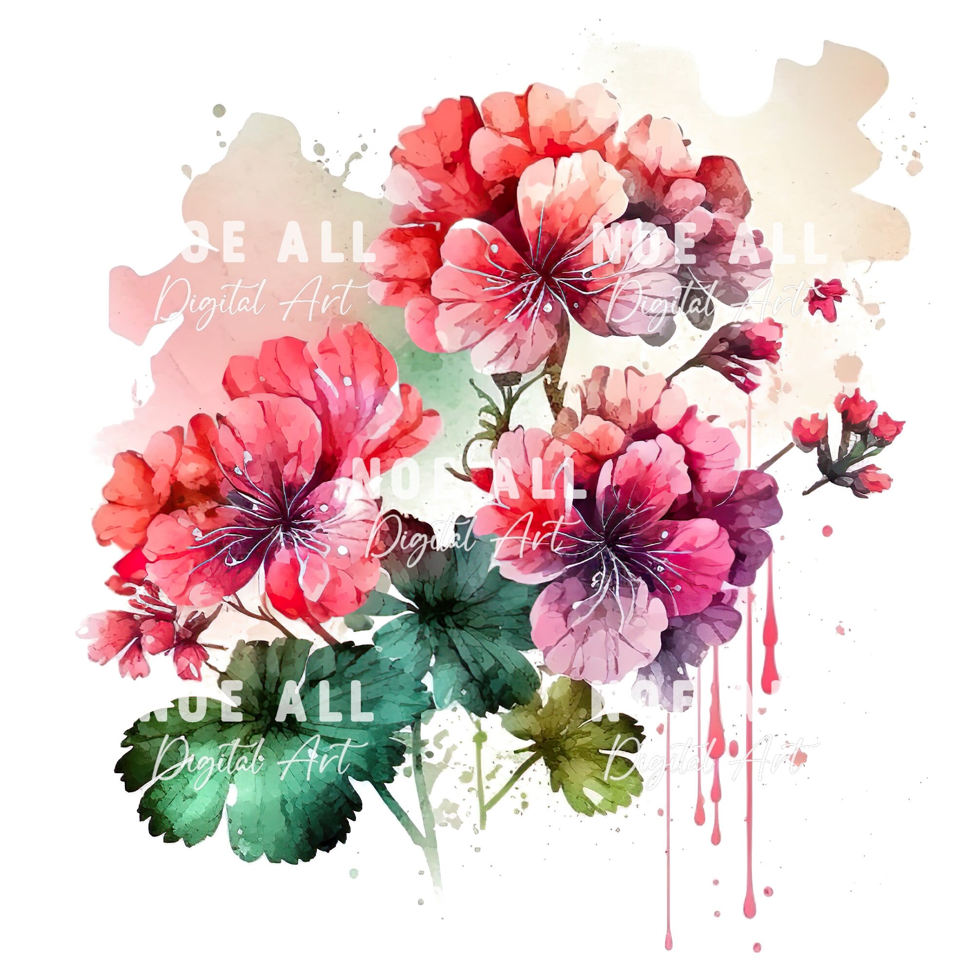 Geranium Clipart Set of 12 High Quality JPG Decoupage, Wall Art ...