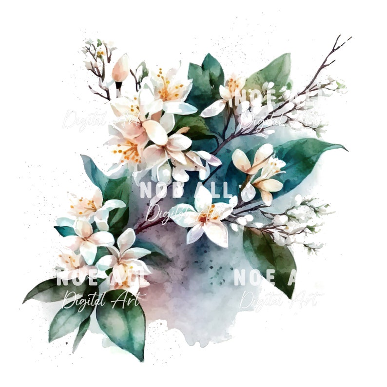 Jasmine Clipart - Set of 12 High Quality JPG - Decoupage, Wall Art ...