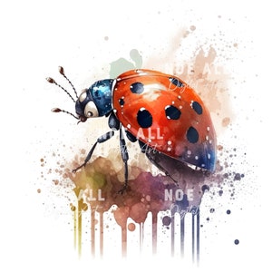 Ladybug Clipart - Set of 12 High Quality JPG - Decoupage, Wall Art ...