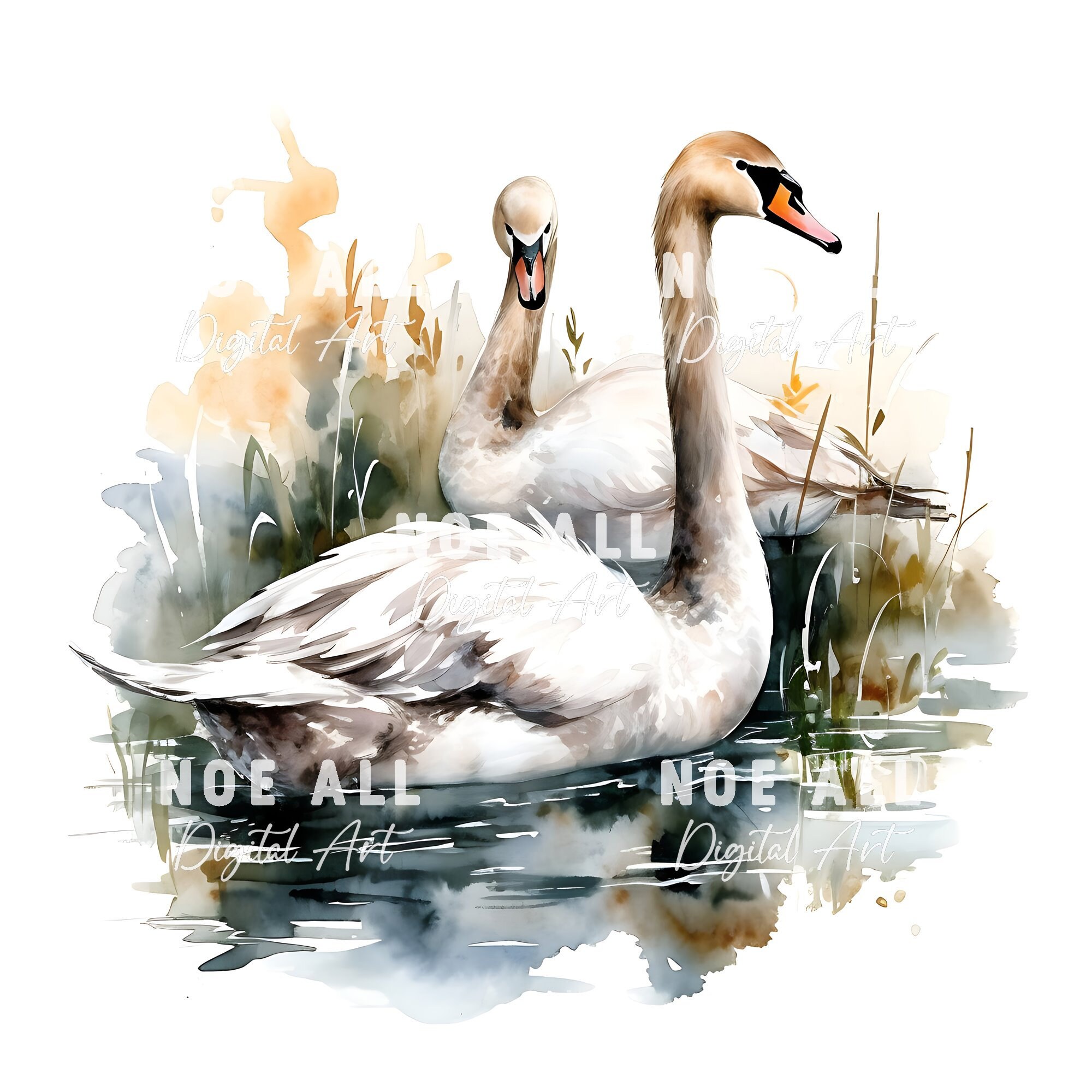 Swan Clipart Set of 12 High Quality JPG Decoupage, Wall Art, Scrapbook ...