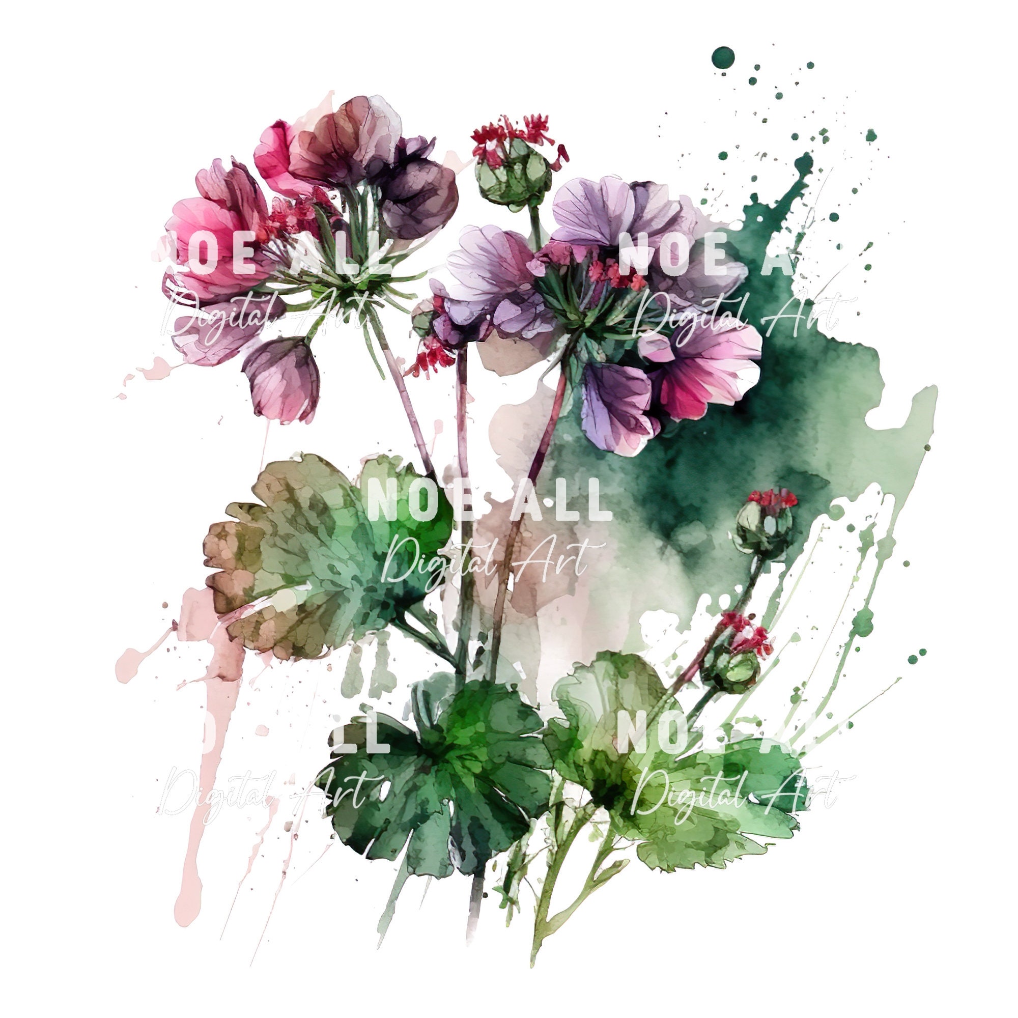 Geranium Clipart Set of 12 High Quality JPG Decoupage, Wall Art ...