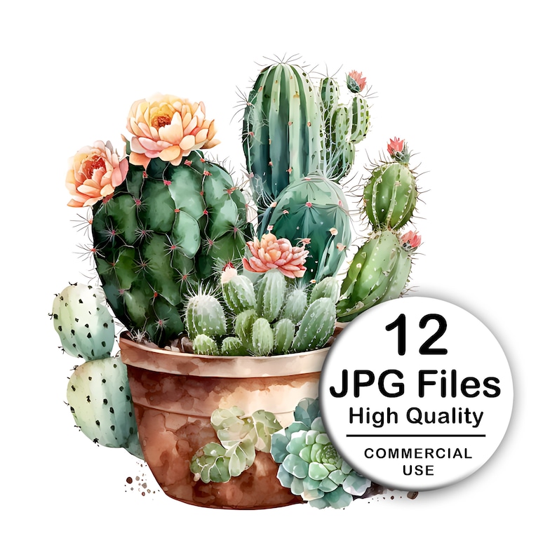 Potted Cacti Clipart - Set of 12 High Quality JPG - Decoupage, Wall Art ...