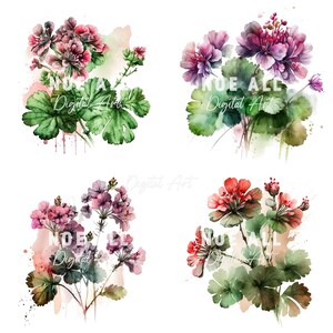 Geranium Clipart Set of 12 High Quality JPG Decoupage, Wall Art ...