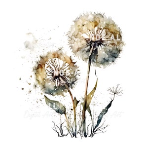 Dandelions Clipart - Set of 12 High Quality JPG - Decoupage, Wall Art ...