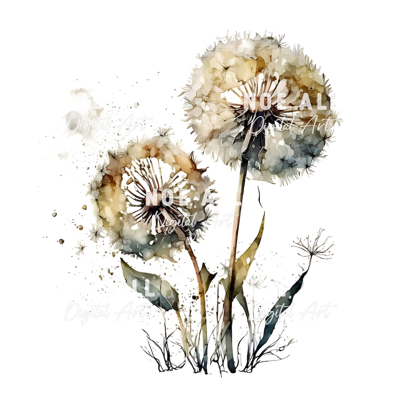 Dandelions Clipart - Set of 12 High Quality JPG - Decoupage, Wall Art ...