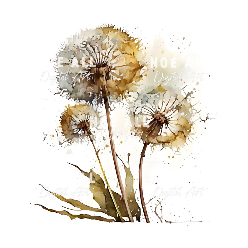 Dandelions Clipart - Set of 12 High Quality JPG - Decoupage, Wall Art ...