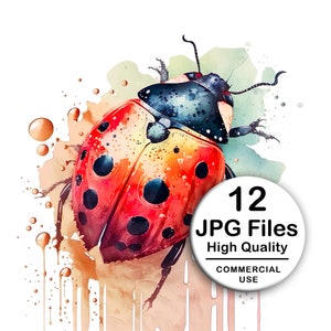 Ladybug Clipart - Set of 12 High Quality JPG - Decoupage, Wall Art ...