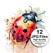 Ladybug Clipart - Set of 12 High Quality JPG - Decoupage, Wall Art ...