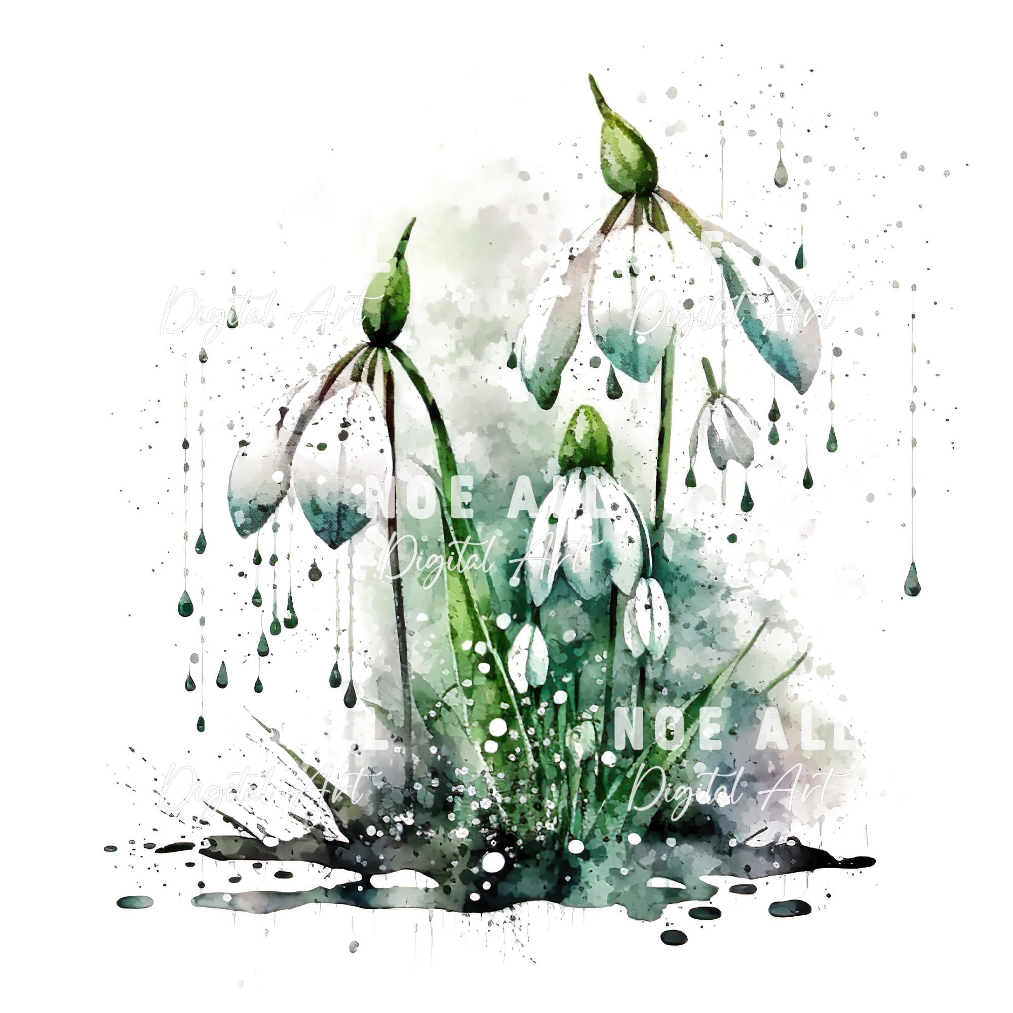 Snowdrop Clipart - Set 12 High Quality JPG - Decoupage, Wall Art ...