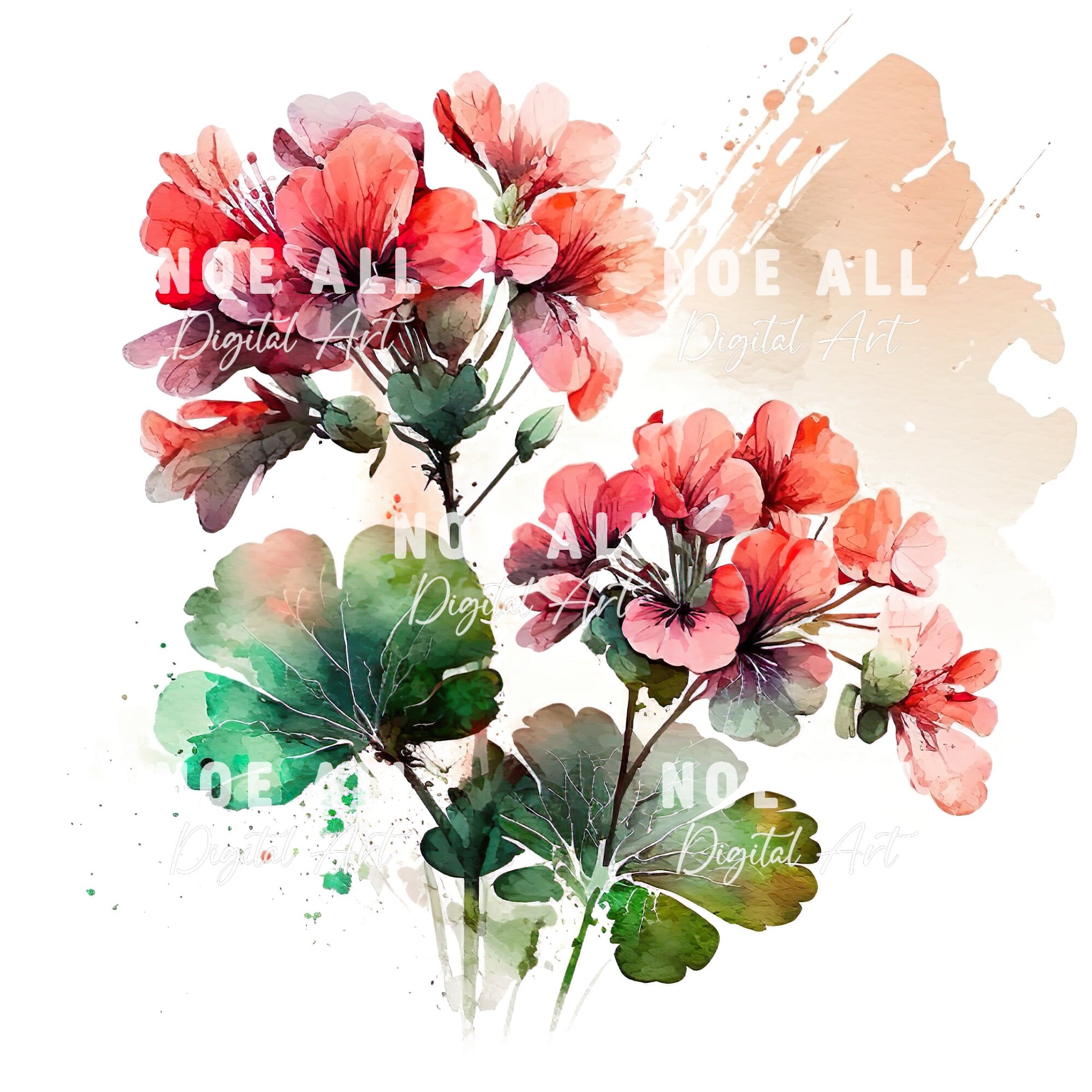 Geranium Clipart Set of 12 High Quality JPG Decoupage, Wall Art ...