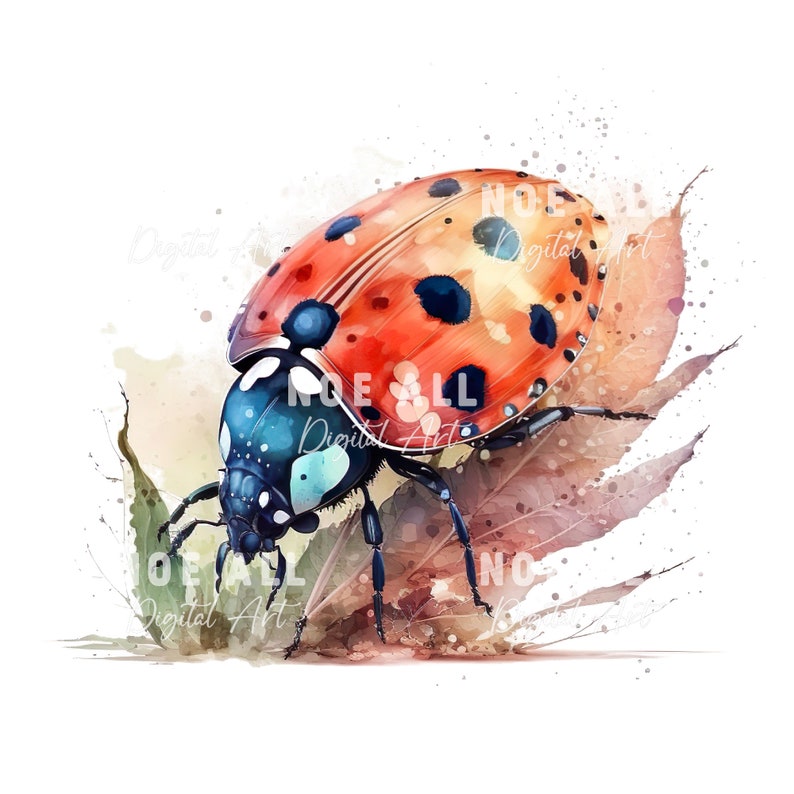 Ladybug Clipart Set of 12 High Quality JPG Decoupage, Wall Art ...
